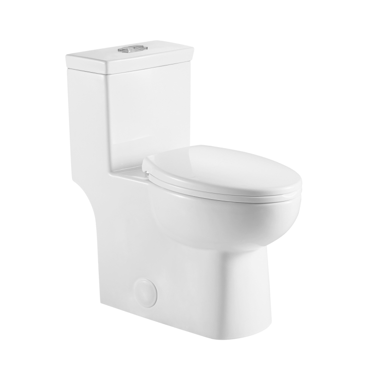 [US Warehouse] Space Saver Dual-Flush Elongated One-Piece Toilet with ...
