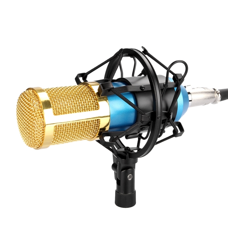 FIFINE F-800 Professional Condenser Sound Recording Microphone with ...