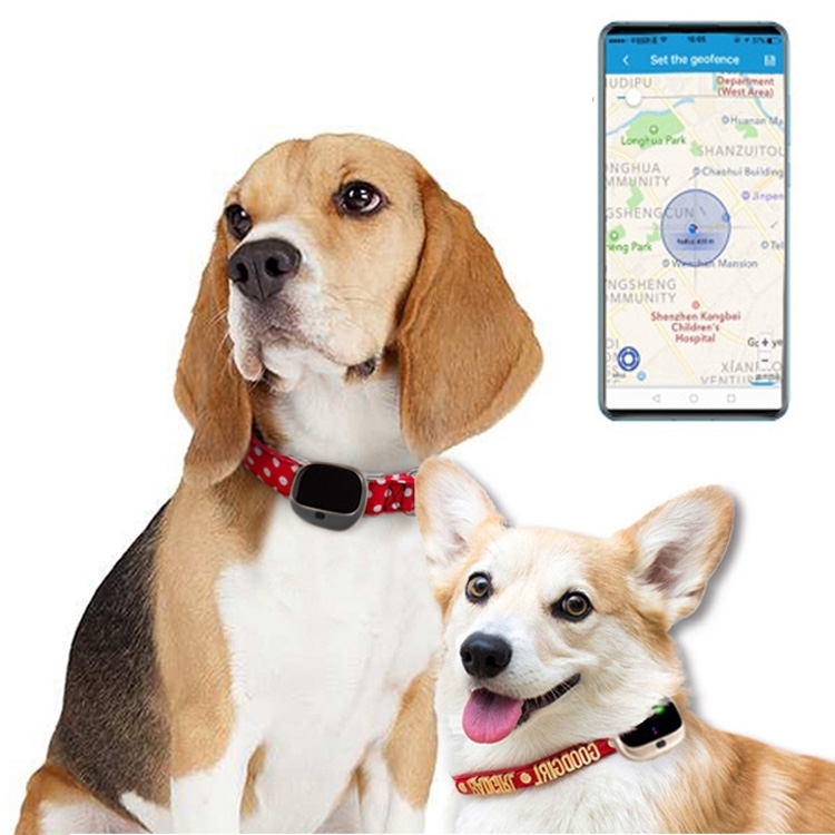 RF-V43 B Style IP67 Waterproof GPS + LBS + WiFi Pet Locator Pet Collar Tracking Device For North ...