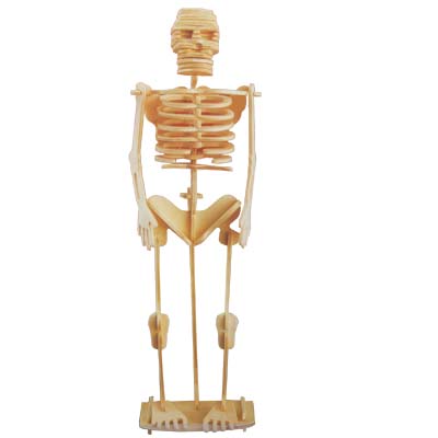 Puzzle Wooden The Human Skeleton Model /DIY Simulation 3D Three ...
