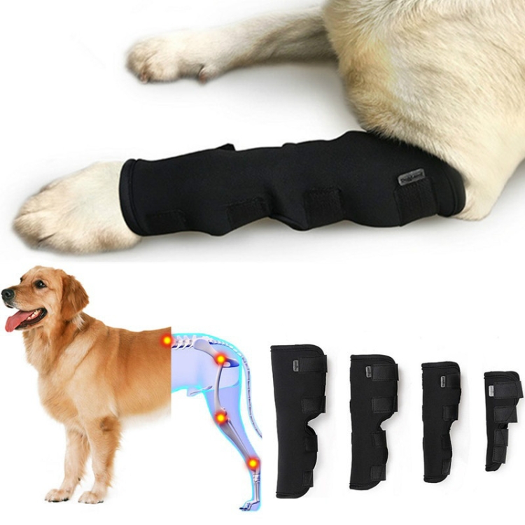 DogLemi PD60041 Dog Hock Brace Pet Supportive Rear Dog Compression Leg ...