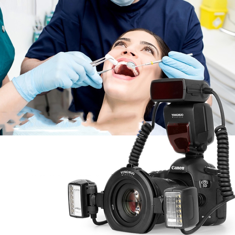 For Canon TTL Oral Insect Insect Teeth Ring Light YONGNUO YN24EX Macro ...