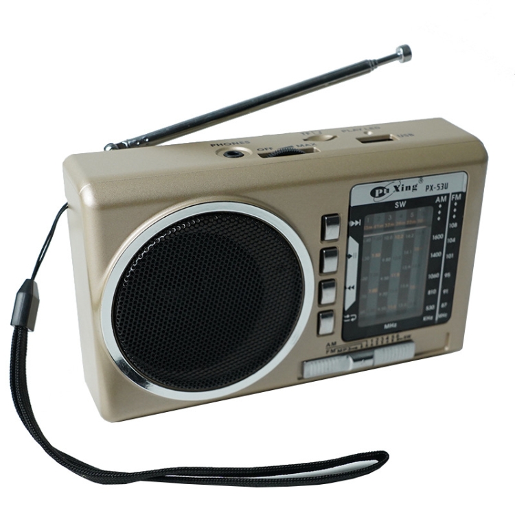 BAIJIALI PX-53U Champagne Gold Multibande Retro Pointer Radio USB Plug ...