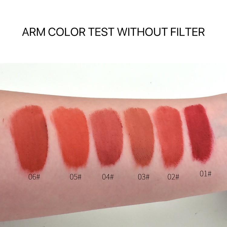 Mist Matte Air Lip Gloss Cosmetics(Cinnamon)