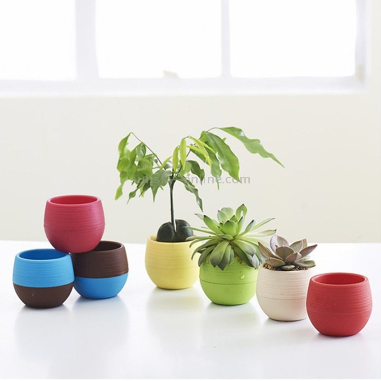 Creative Multi-meat Plant Plastic Flower Pots Stylish Office Flower ...