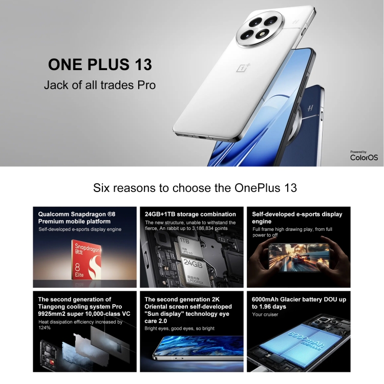 OnePlus 13 PJZ110, 24 Go + 1 To, identification par empreinte digitale ...