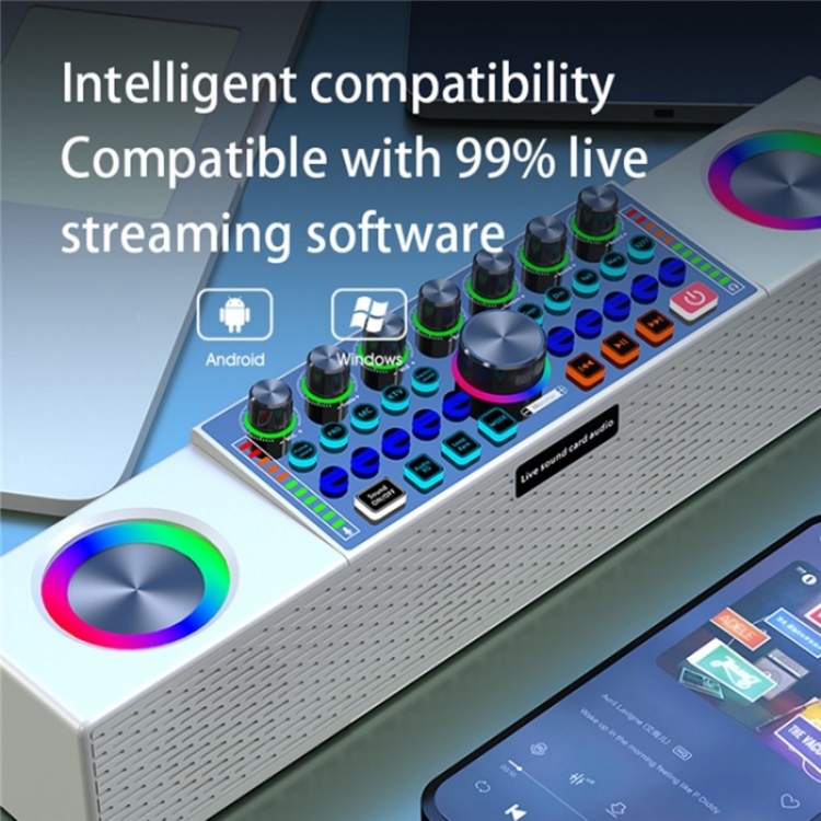 SUNSKY - ⁧SY8 Live Sound Card الكل في واحد مكبر صوت ستيريو مع ميكروفون ...