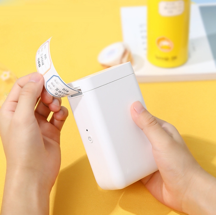 NIIMBOT D101 Handheld Portable Bluetooth Smart No Ink Label Printer ...