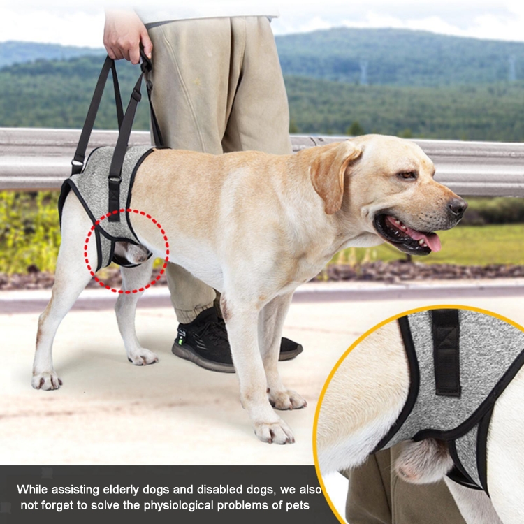 Dog Hind Leg Auxiliary Strap Decompression Auxiliary Travel Belt For ...