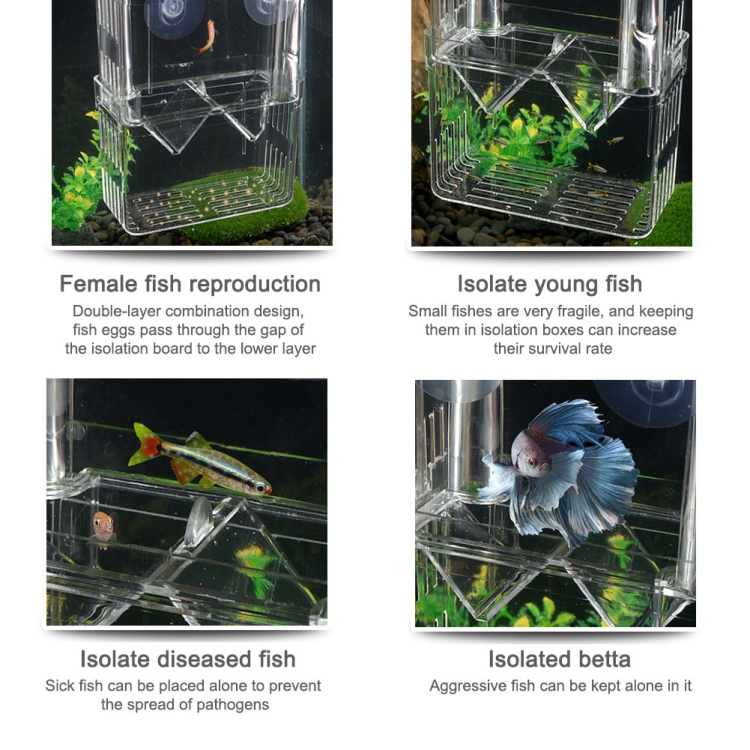 Large Peacock Fish Double Layer Transparent Breeding Isolation Box ...