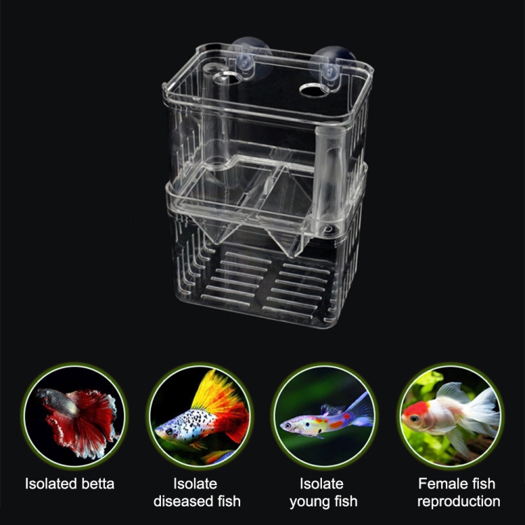 Large Peacock Fish Double Layer Transparent Breeding Isolation Box ...