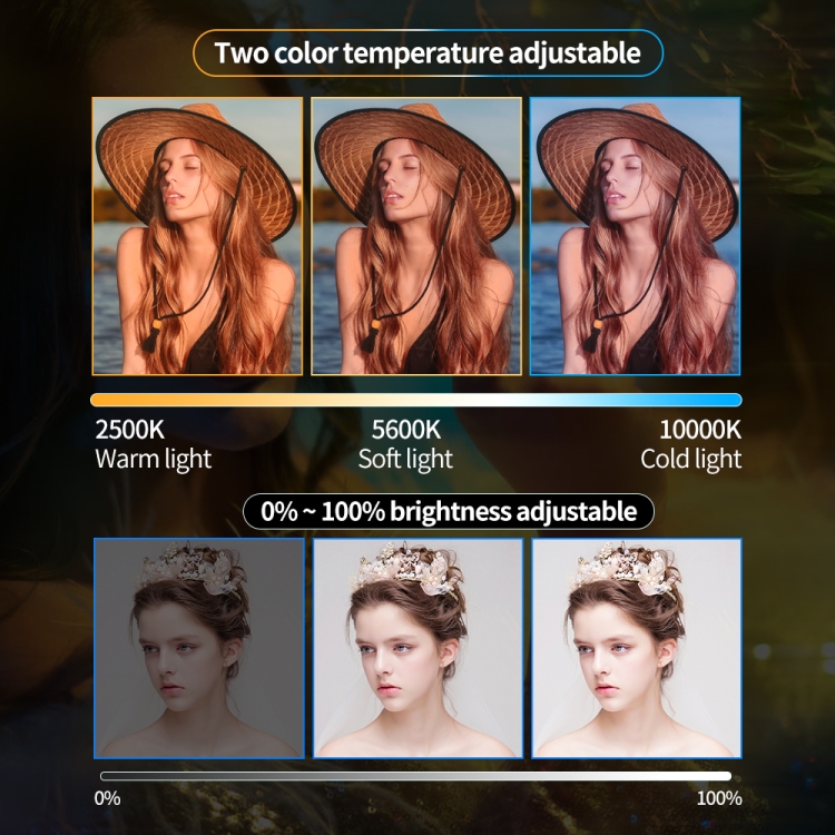 Pixel P80 Rgb 풀 컬러 Led 채우기 라이트 App 원격 제어 태블릿 사진 라이브 사진 소프트 라이트 분위기 조명