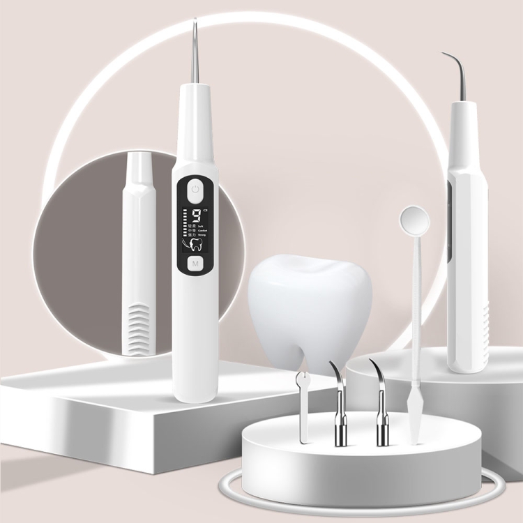 초음파 스케일러 가정용 전기 치과 청소기 치아 스케일링 기계표준 버전