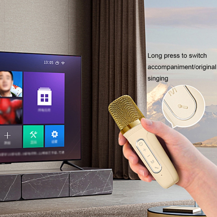 Havit P1 Portable Singing Home Wireless Bluetooth Speaker Microphone ...