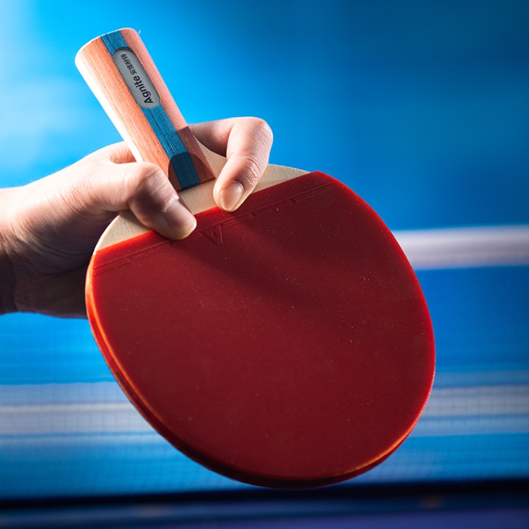 Agnite Three-star Professional Competition Table Tennis Racket Set with ...