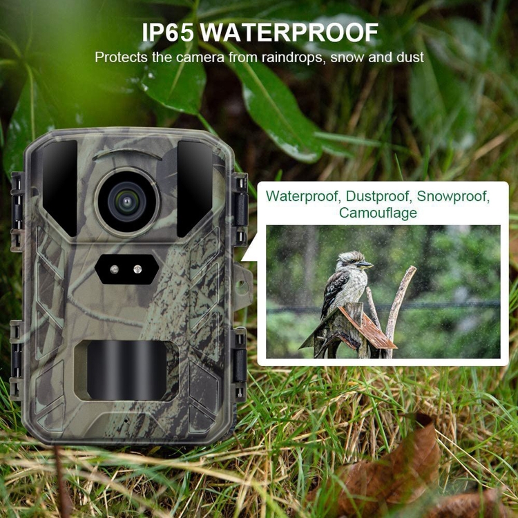 Mini800 Mini Wildlife Hunting Camera 50MP/4K Keep Way Night Vision ...