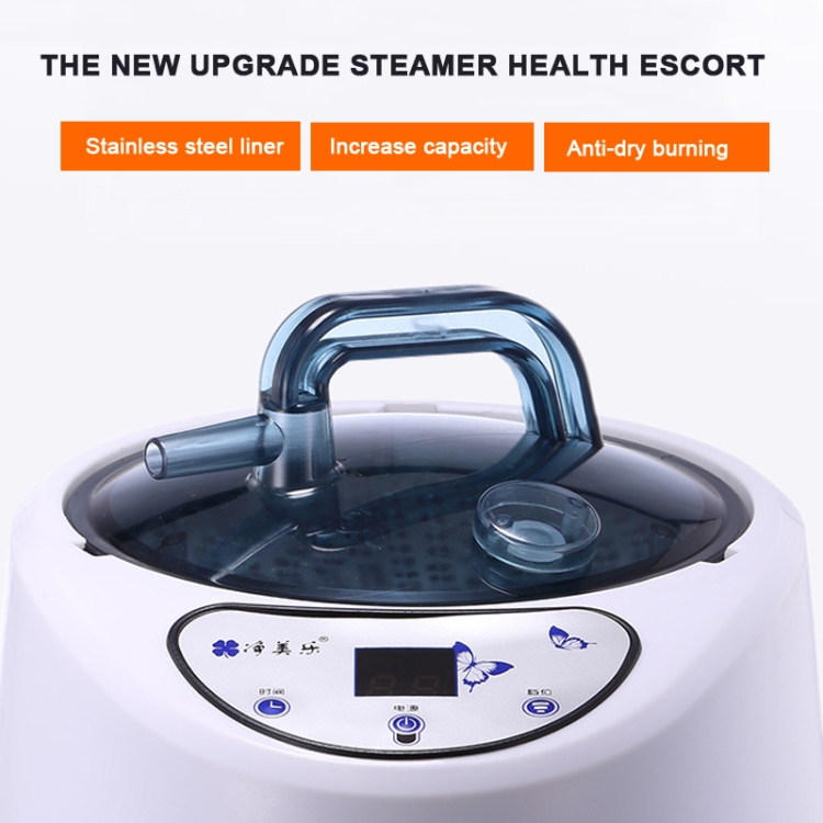 1000W Portable Steam Sauna Spa With Pot Set Weight Loss Skin Spa ...