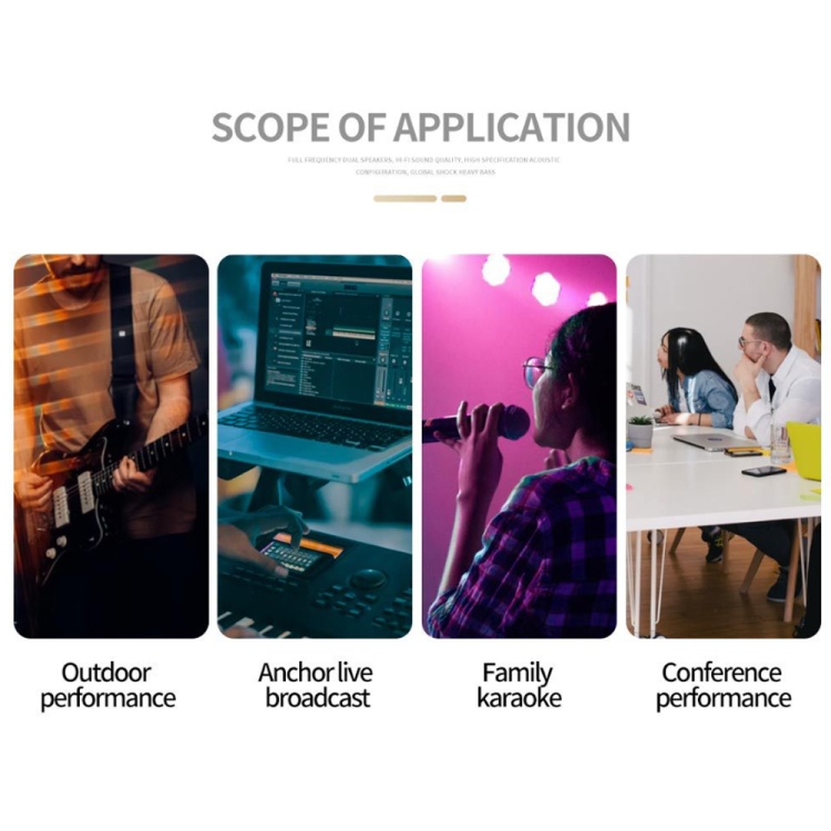 Vinyl Record Player Preamplifier, US Plug(PP500)