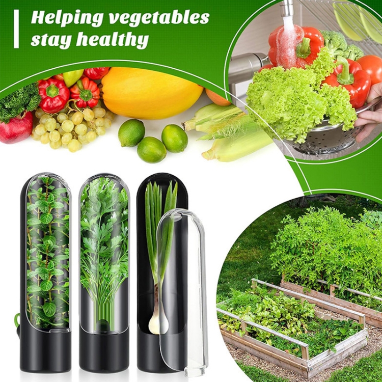 Herb Crisper Vegetable Keep Fresh Container Cilantro Herb Storage ...