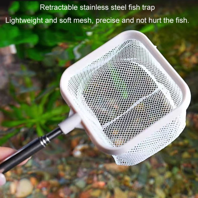 3D Fish Tank Fishing Net Stainless Steel Retractable Fish Shrimp Fish ...