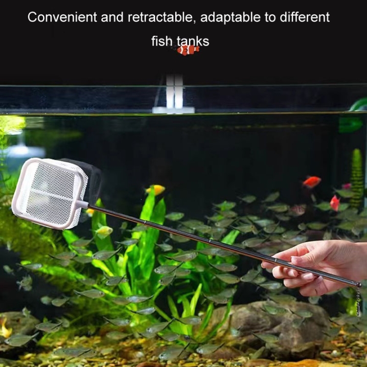 3D Fish Tank Fishing Net Stainless Steel Retractable Fish Shrimp Fish ...