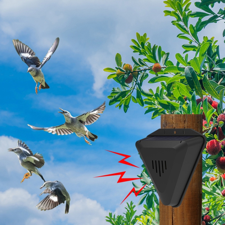 N911Q Solar Bird Repeller สวนผลไม้และบ่อปลาไล่สัตว์ (สีดำ)