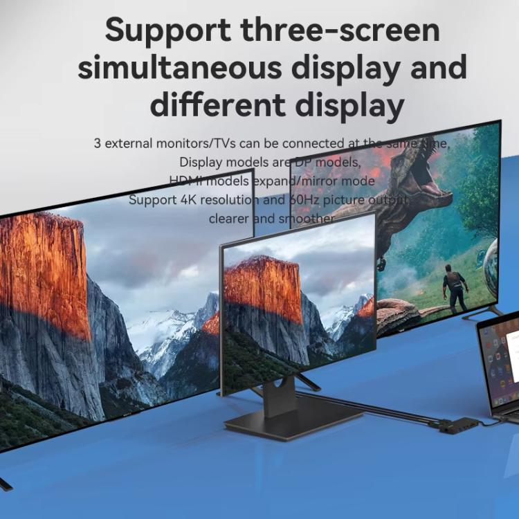 Blueendless Type-C Gigabit Ethernet Port Multi-Screen Different Display ...