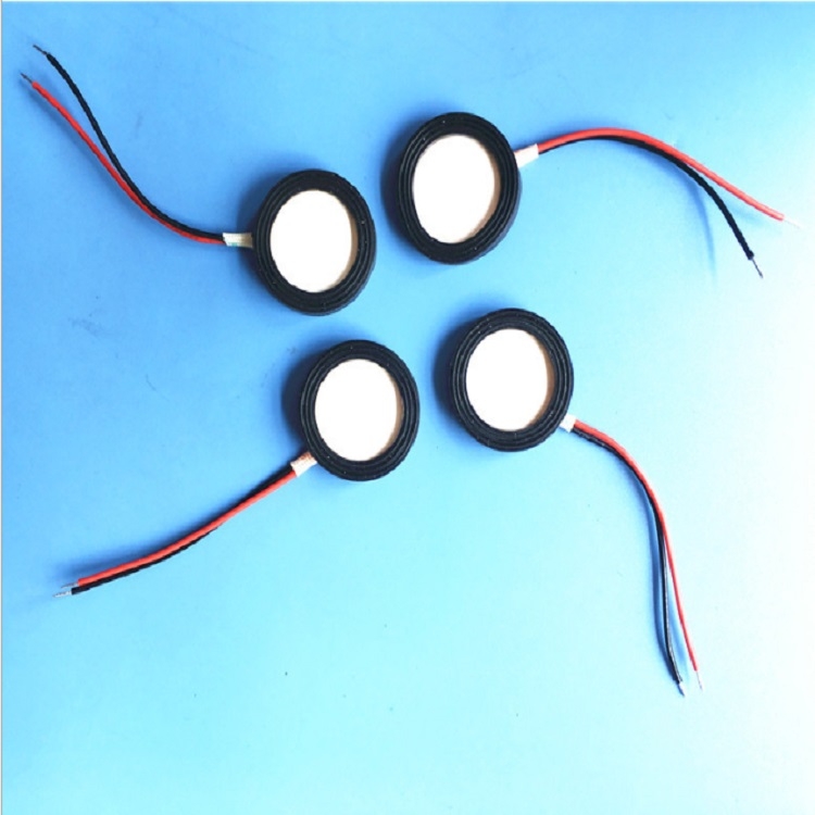25mm Ceramic Atomizer Sheet Ultrasonic Piezoelectric Transducer for ...