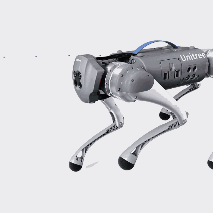 Unitree Go1 Edu Intelligence Bionic Quadruped Robot(Silver)
