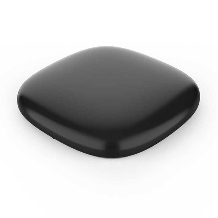 FindTag Metal Anti-lost Global Locator Tracker(Black)