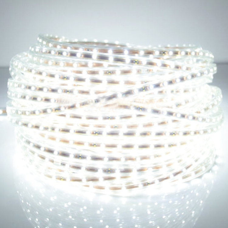Casing Waterproof LED Light Strip, Length: 5m