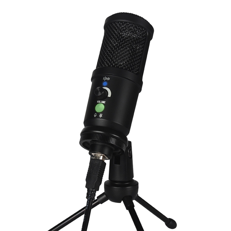 BM-66 Standard Version Heart-shaped Pointing USB Condenser Microphone Set