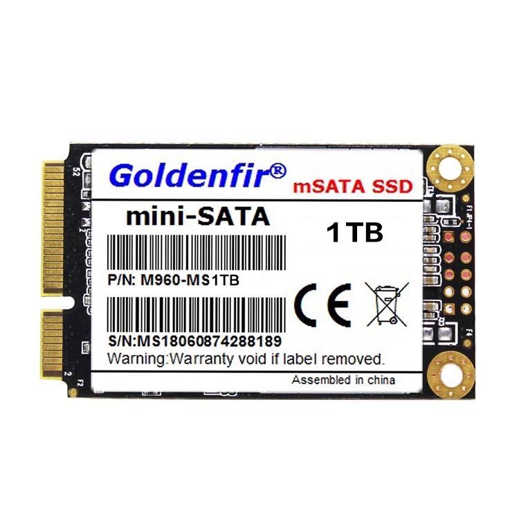 Goldenfir 1.8 inch mSATA Solid State Drive, Flash Architecture: TLC ...