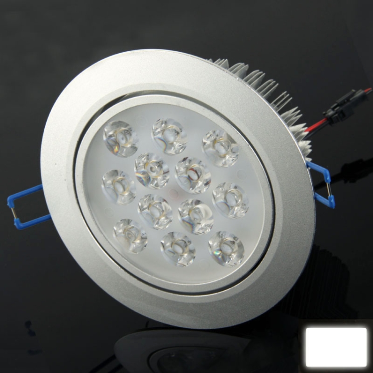 12W Ceiling Lights LED Down Light Bulb