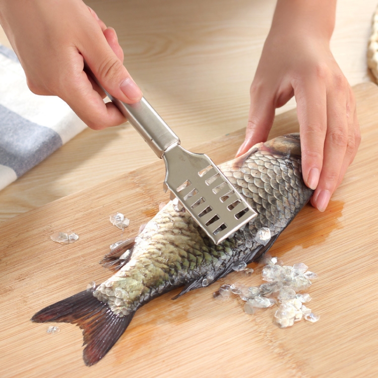 10 PCS Stainless Steel Fish Scale Planer Kitchen Supplies Fish Scale ...