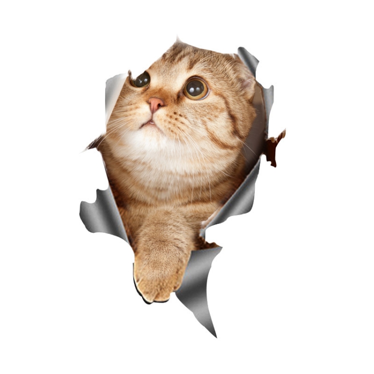 Style 2 Small 3D Stereo Cat Car Sticker Car Body Scratches And ...