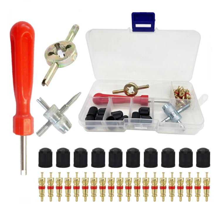 33pcs/Set Car Bicycle Tire Valve Core Installation Tool Repair Kit ...